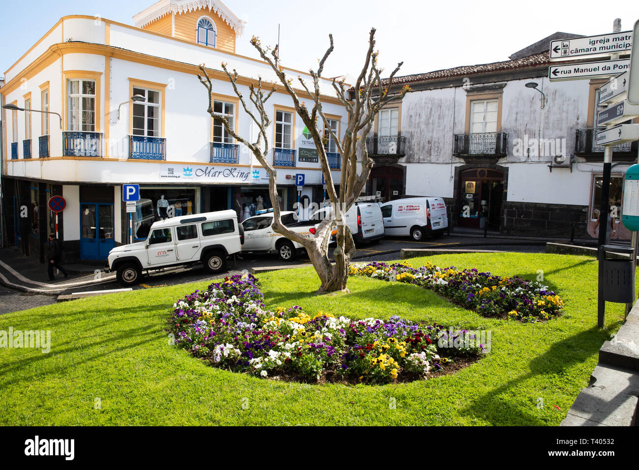 Pretty flowers in a square in Sao Miguel The Azores Stock Photo - Alamy