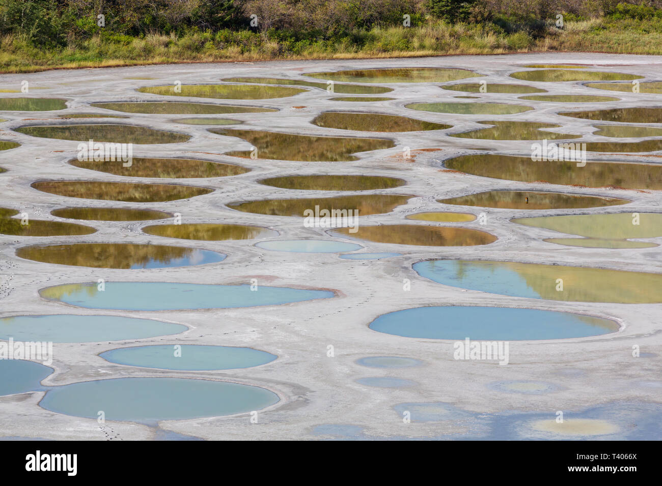 Spotted Lake in British Columbia, Canada Stock Photo - Alamy
