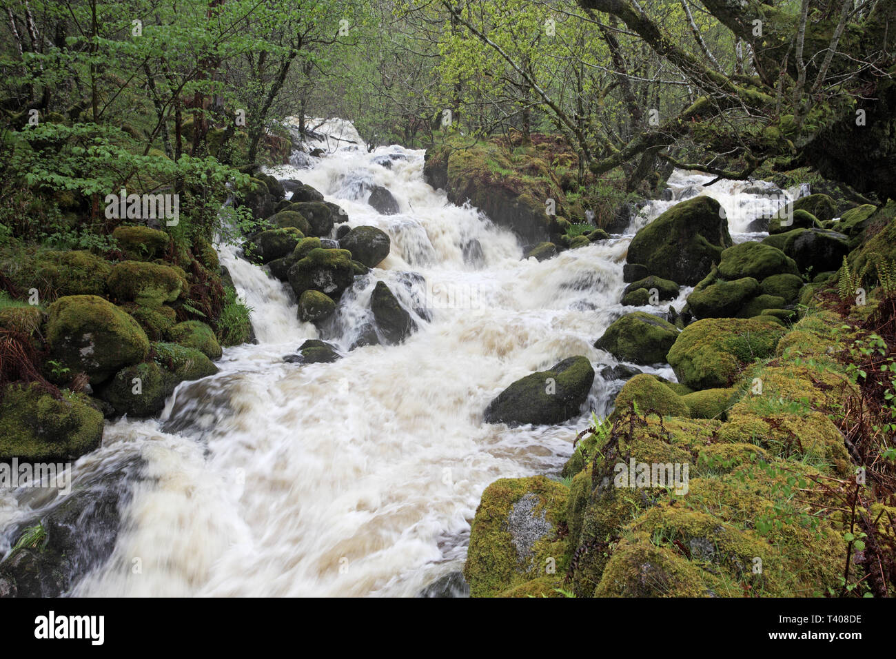 Allt na cloiche hi-res stock photography and images - Alamy