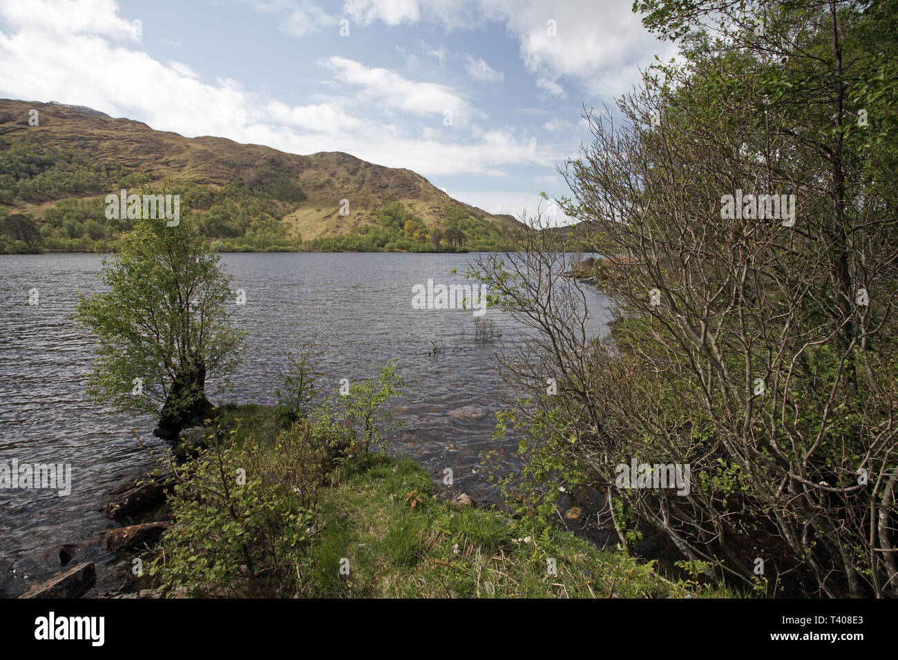 Loch eilt hi-res stock photography and images - Alamy