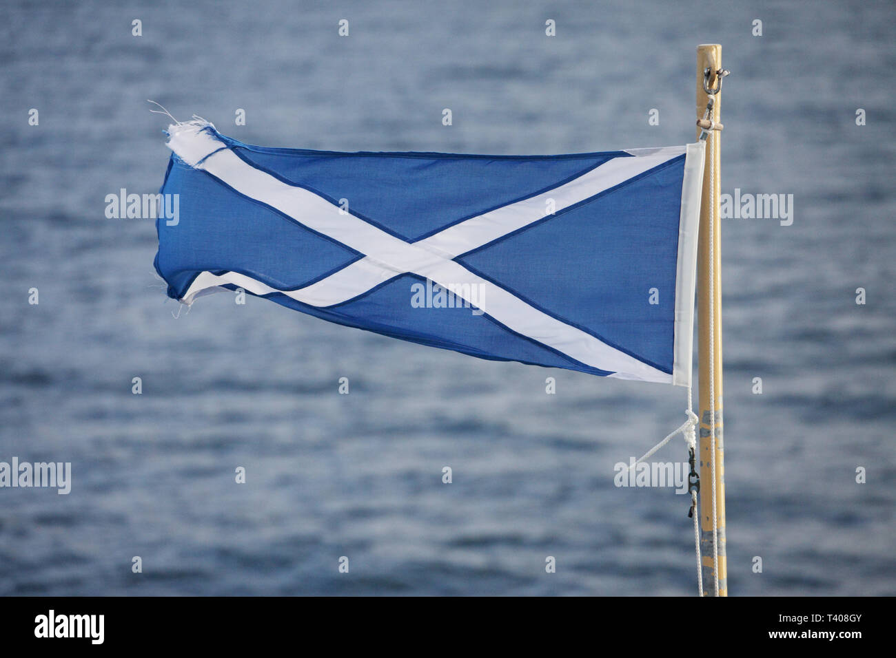 Scottish flag flying hi-res stock photography and images - Alamy