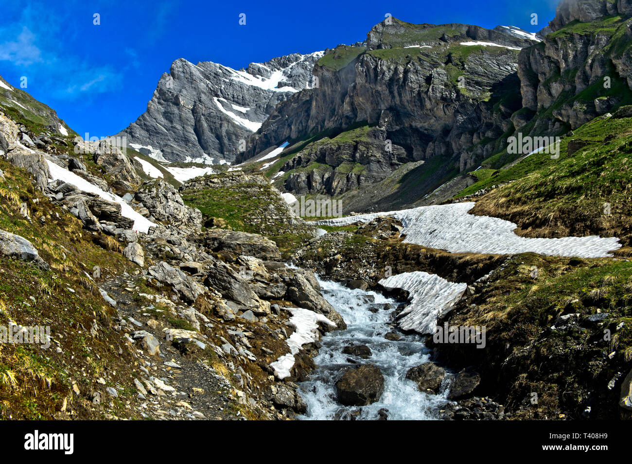Switzerland spring mountain hi-res stock photography and images - Alamy
