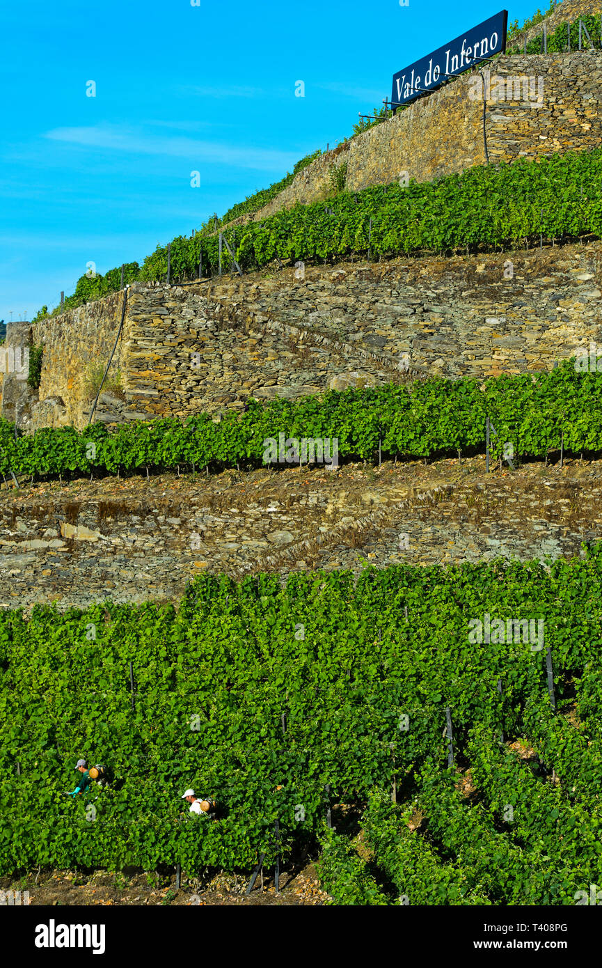 Portugal quinta de hi-res stock photography and images - Alamy