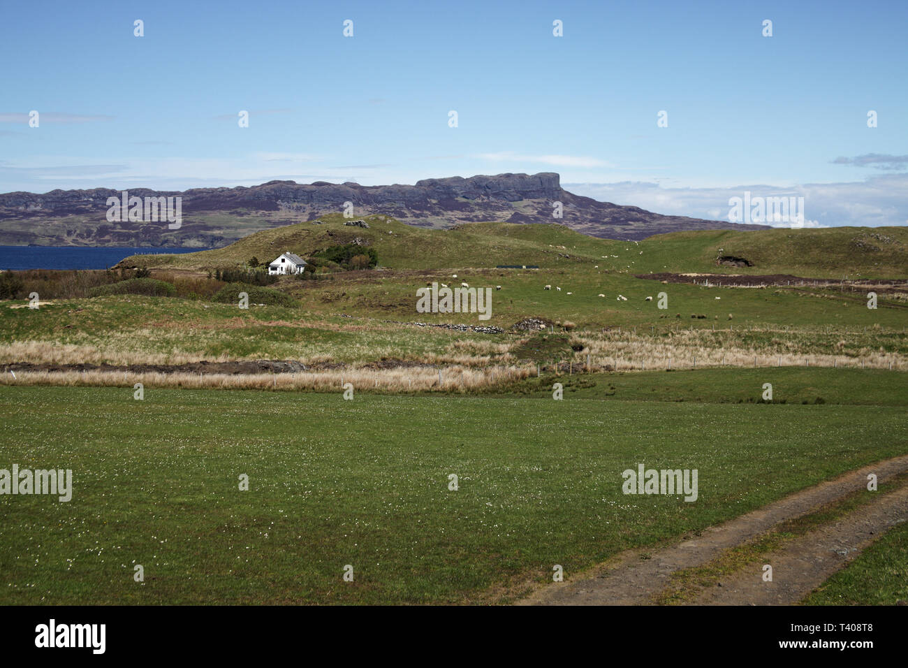 Farmland on the Isle of Muck with the Isle of Eigg beyond Small Isles ...