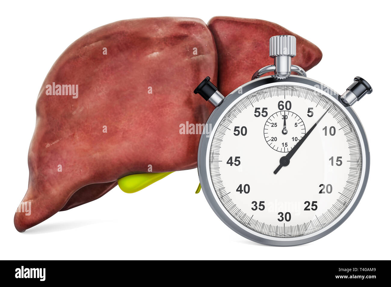 Human liver with stopwatch. First aid and treatment of liver concept ...