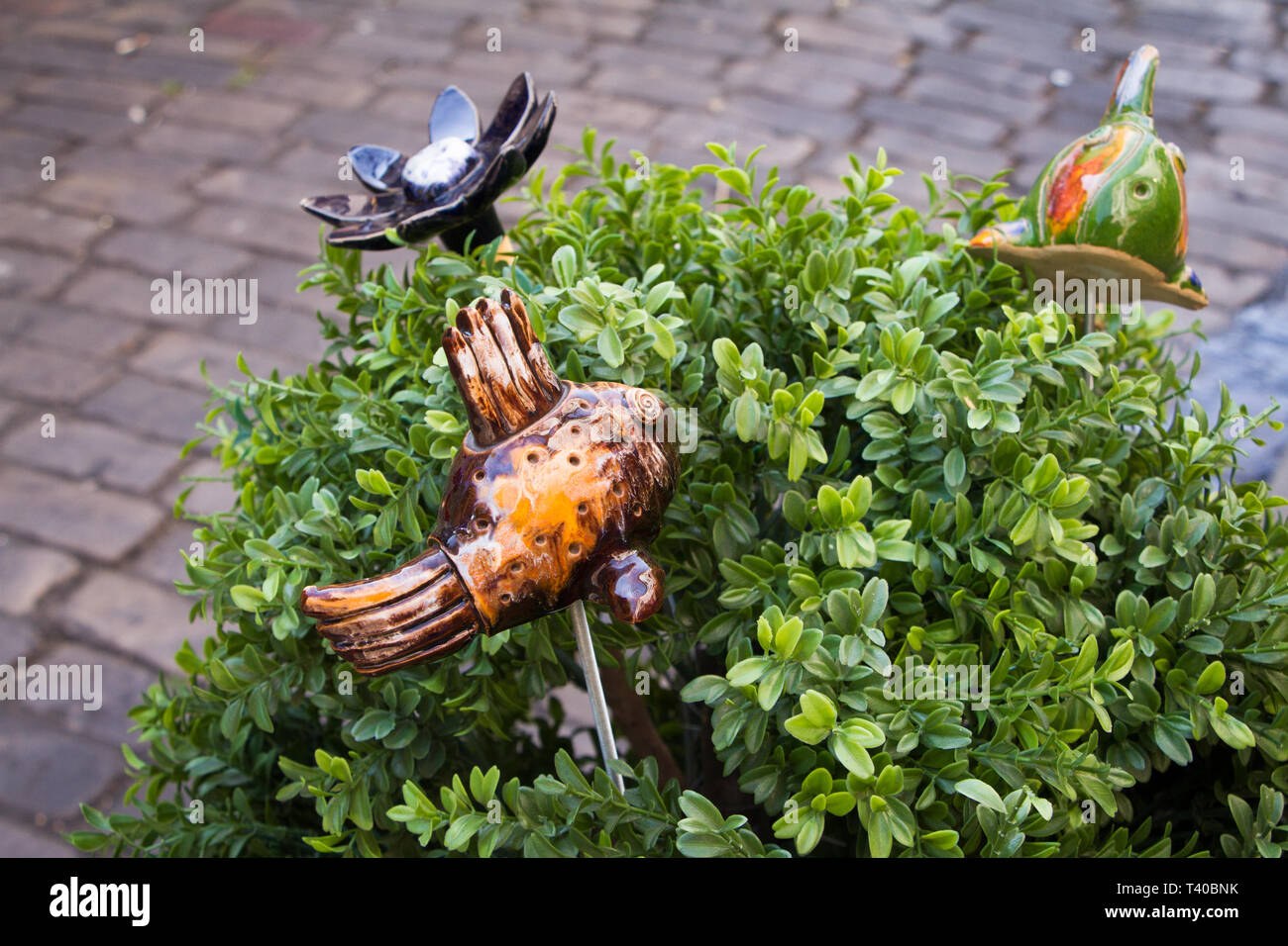 Pot with green plants on the street decorated with ceramic birds ...