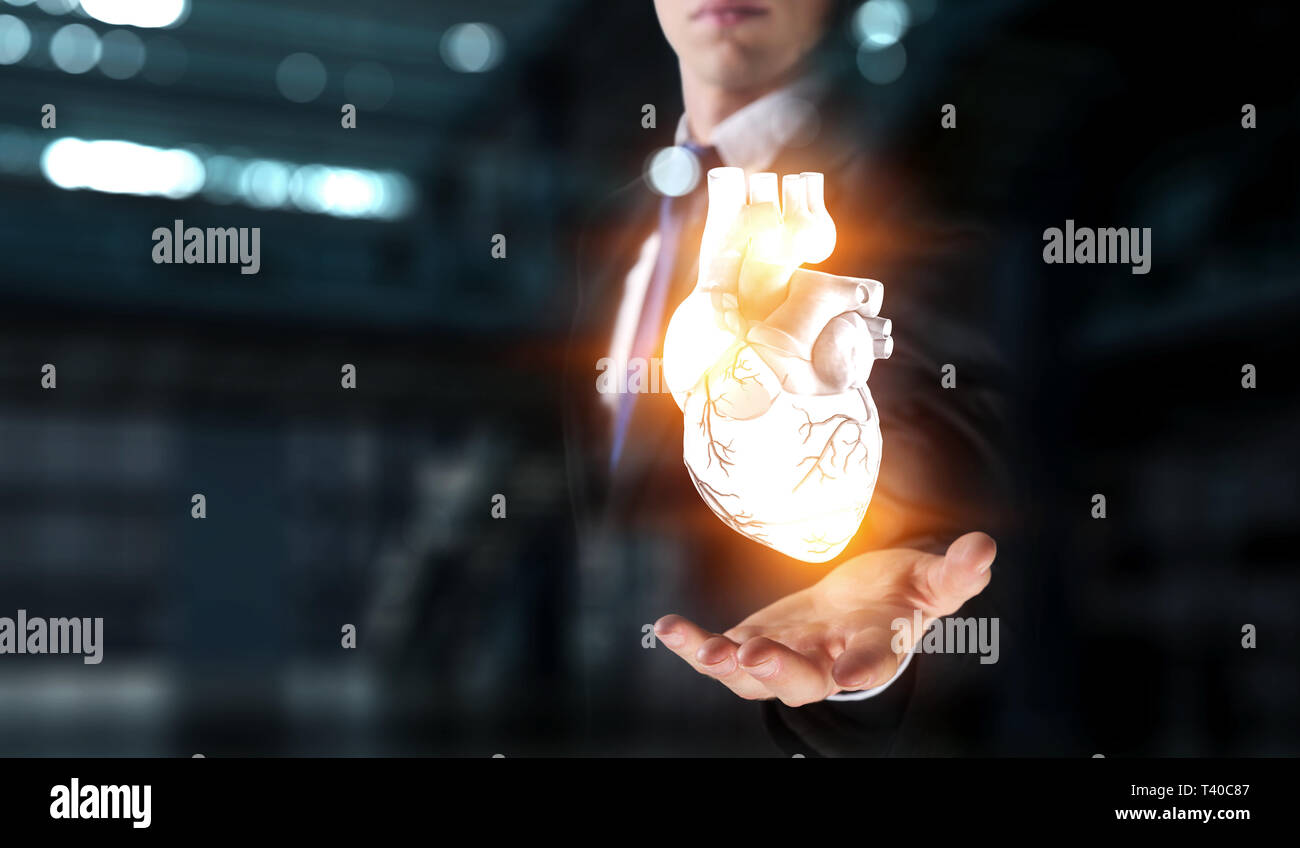 Heart model health care medical anatomical hi-res stock photography and ...