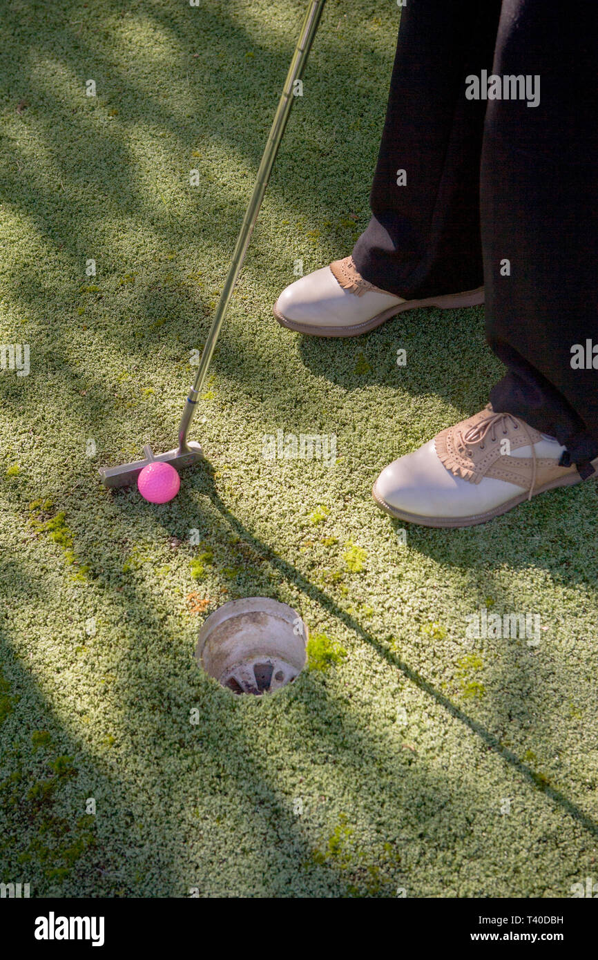 a man putting on a putting green Stock Photo - Alamy