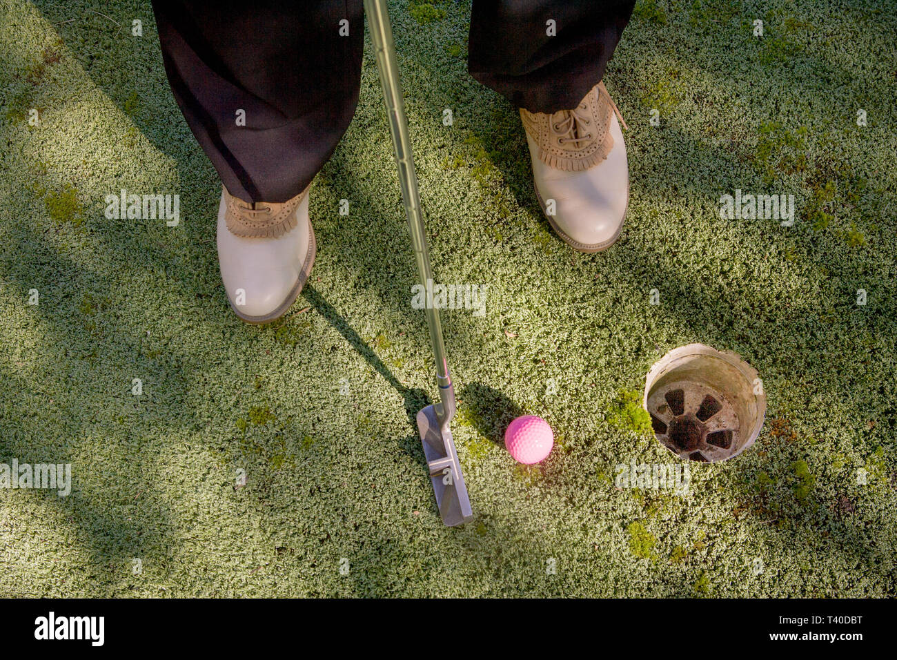 a man putting on a putting green Stock Photo - Alamy