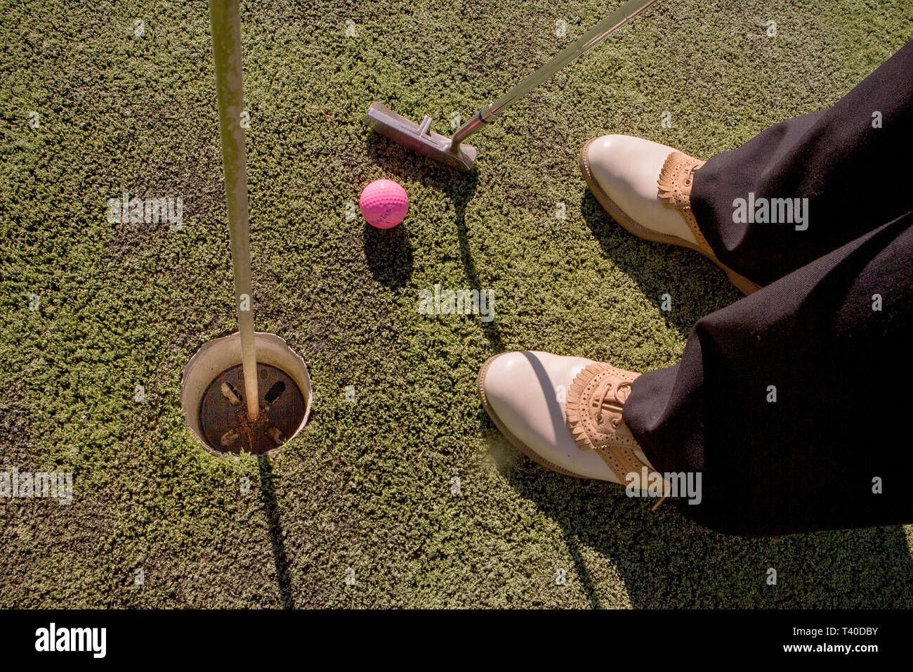 a man putting on a putting green Stock Photo - Alamy