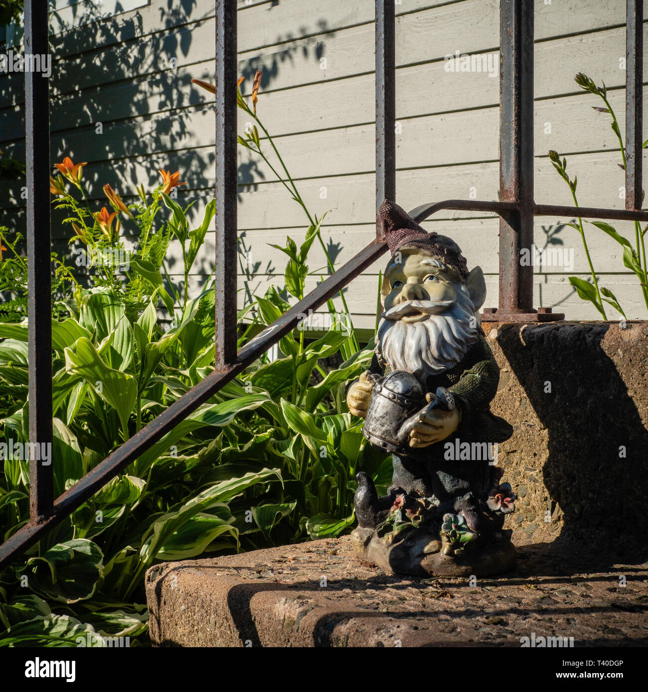 Gnome island hi-res stock photography and images - Alamy
