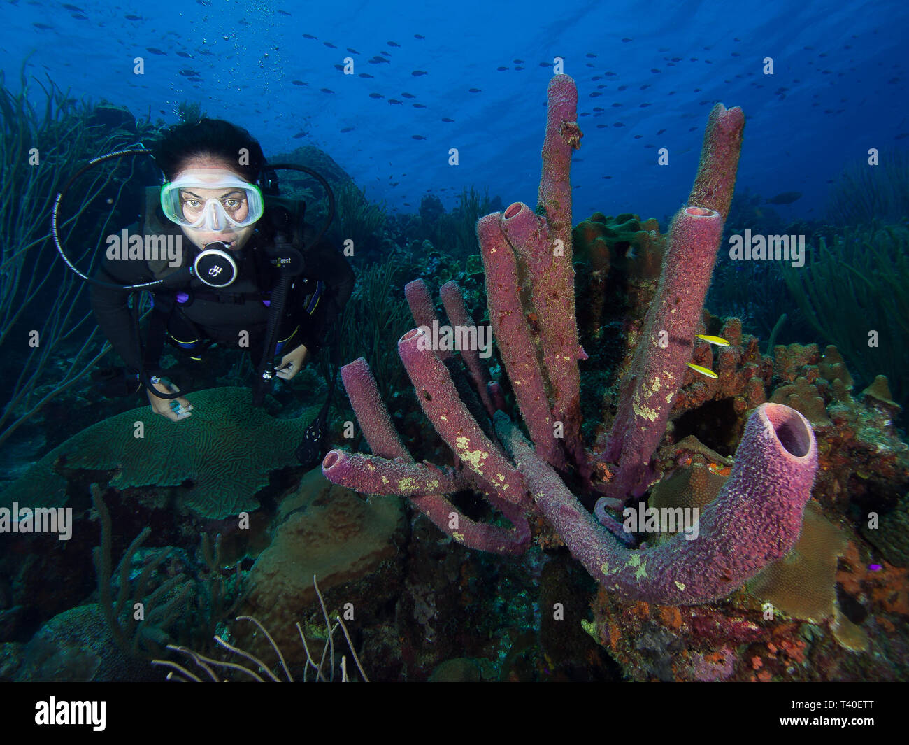 Woman venezuela hi-res stock photography and images - Alamy