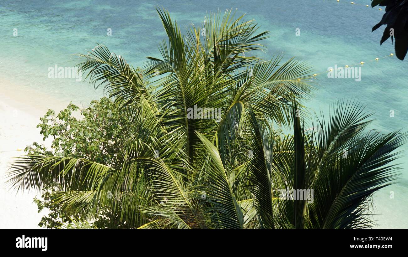 tropical beach on kok mae koh island in thailand Stock Photo - Alamy