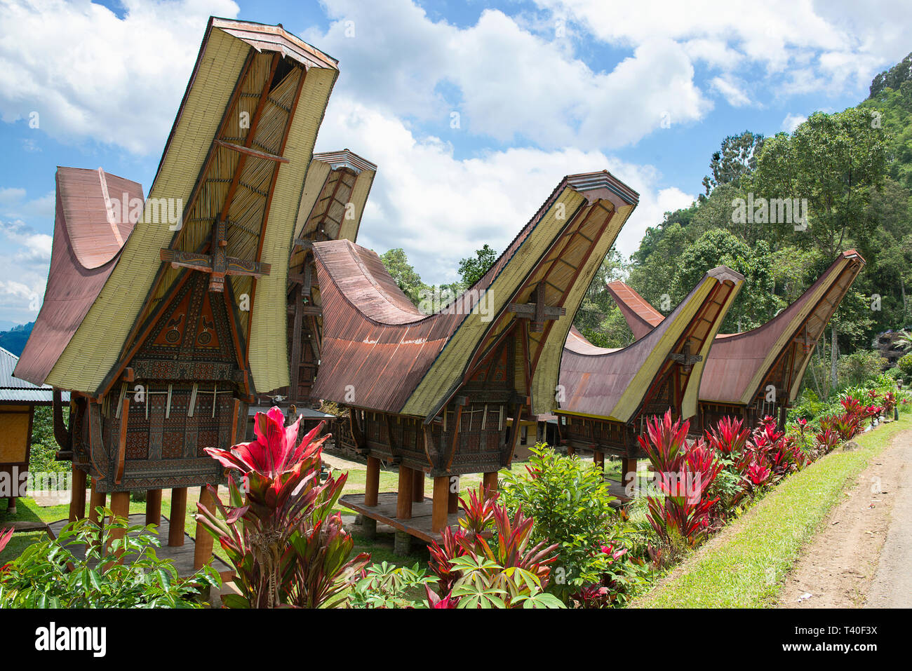 Tongkonan houses, traditional Torajan buildings, Tana Toraja is the ...