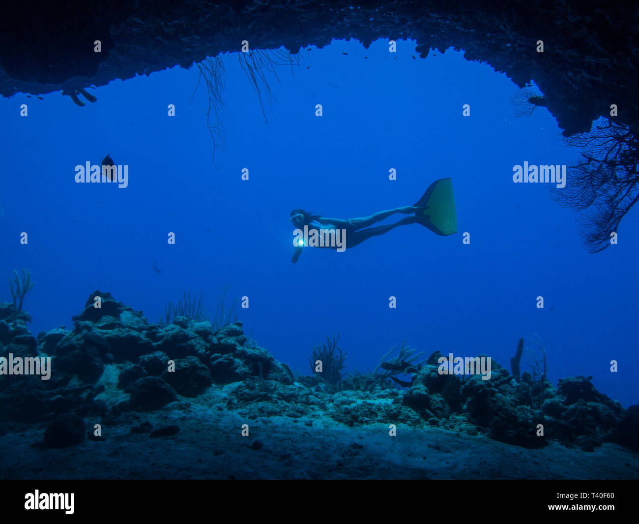 Woman venezuela hi-res stock photography and images - Alamy