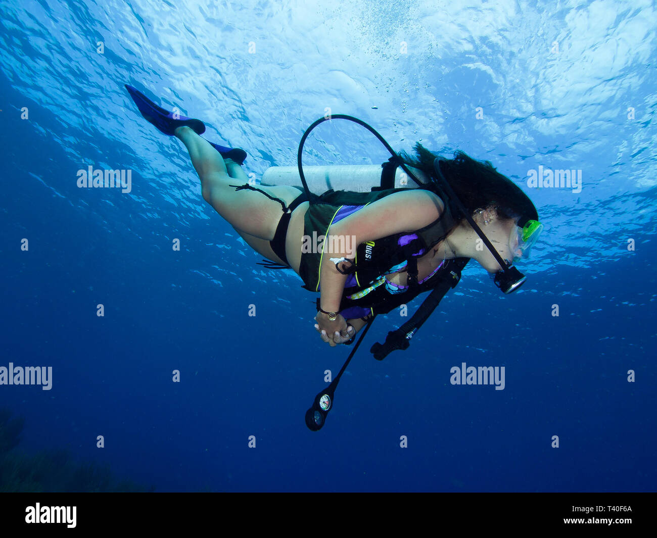 woman diver underwater los roques venezuela Stock Photo - Alamy