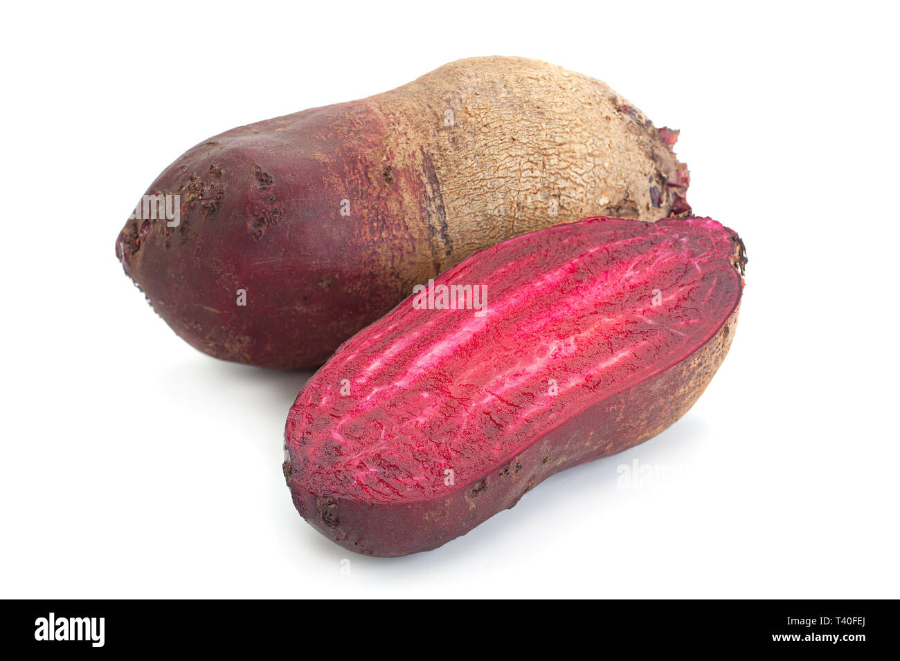 Long beet root closeup isolated on white background Stock Photo - Alamy
