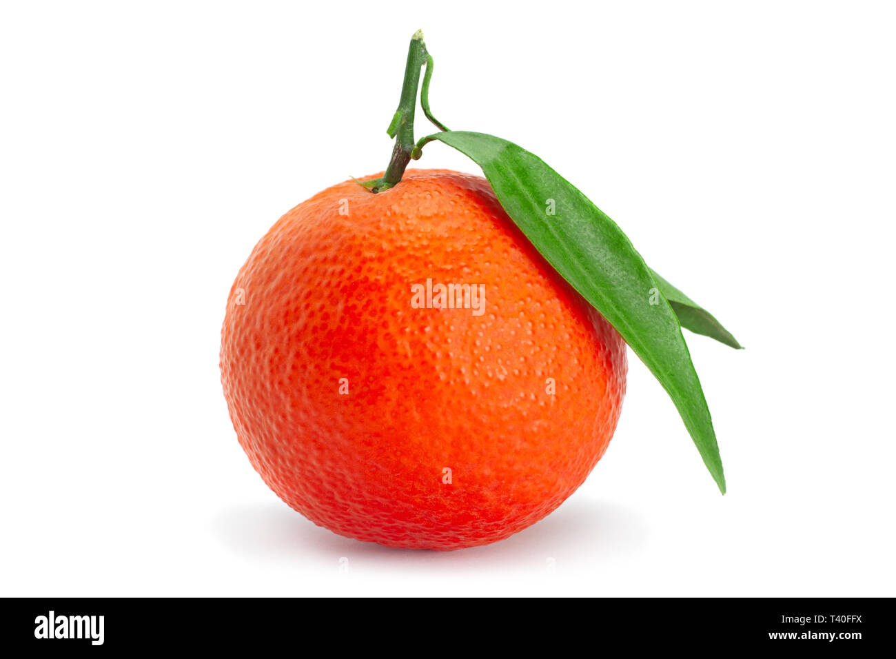 Clementine citrus fruit closeup isolated on white Stock Photo - Alamy