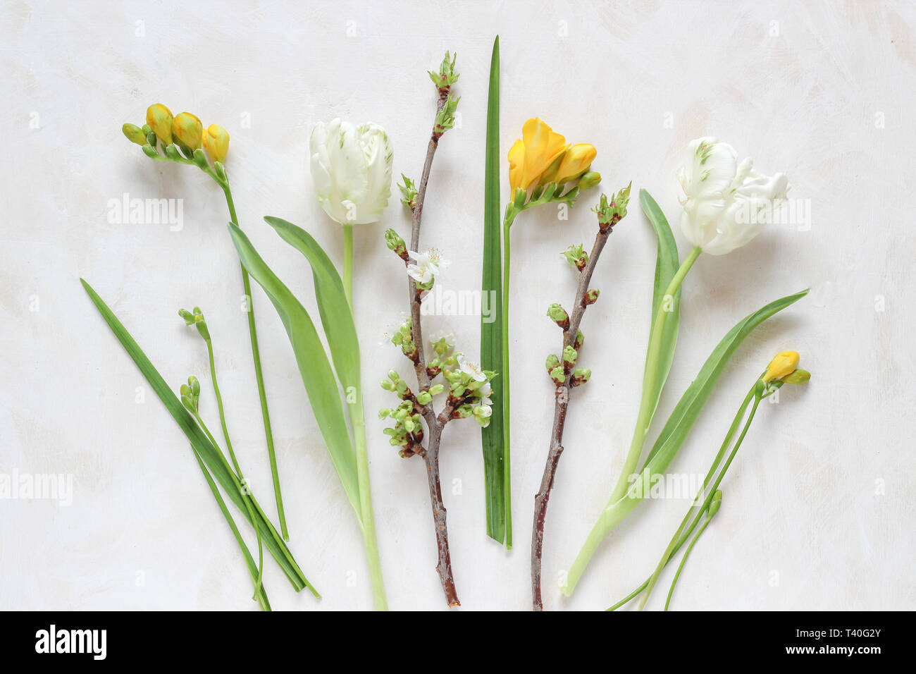 Spring flowers arrangement on a bright background, flat lay style with ...