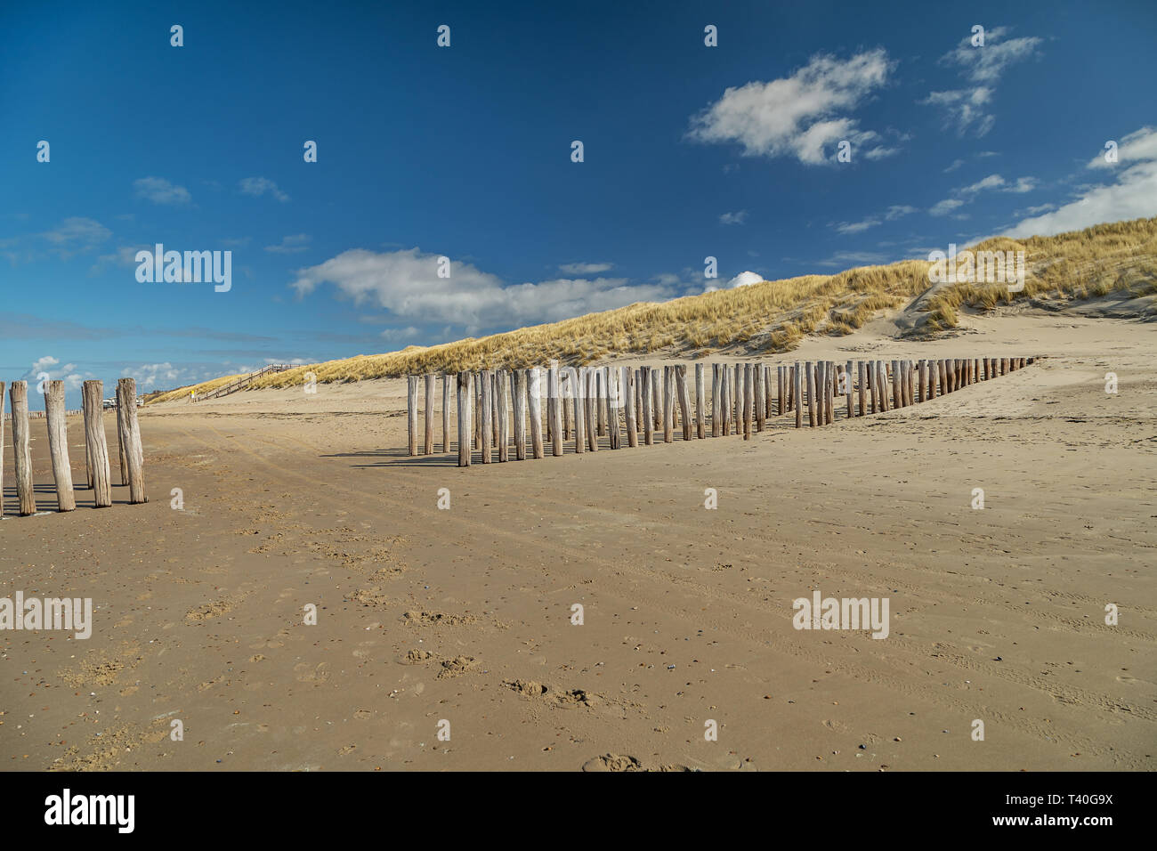 Timber piles hi-res stock photography and images - Alamy
