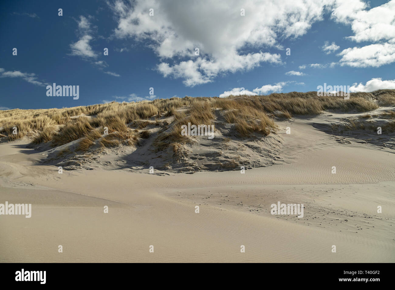 Nice pattern in sand hi-res stock photography and images - Alamy