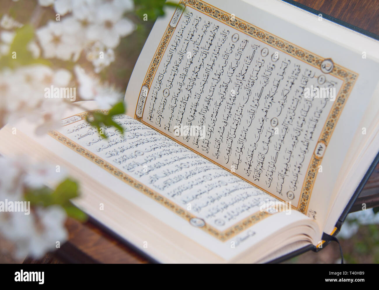 Holy book of Muslims around the world. An open page of Quran Stock ...