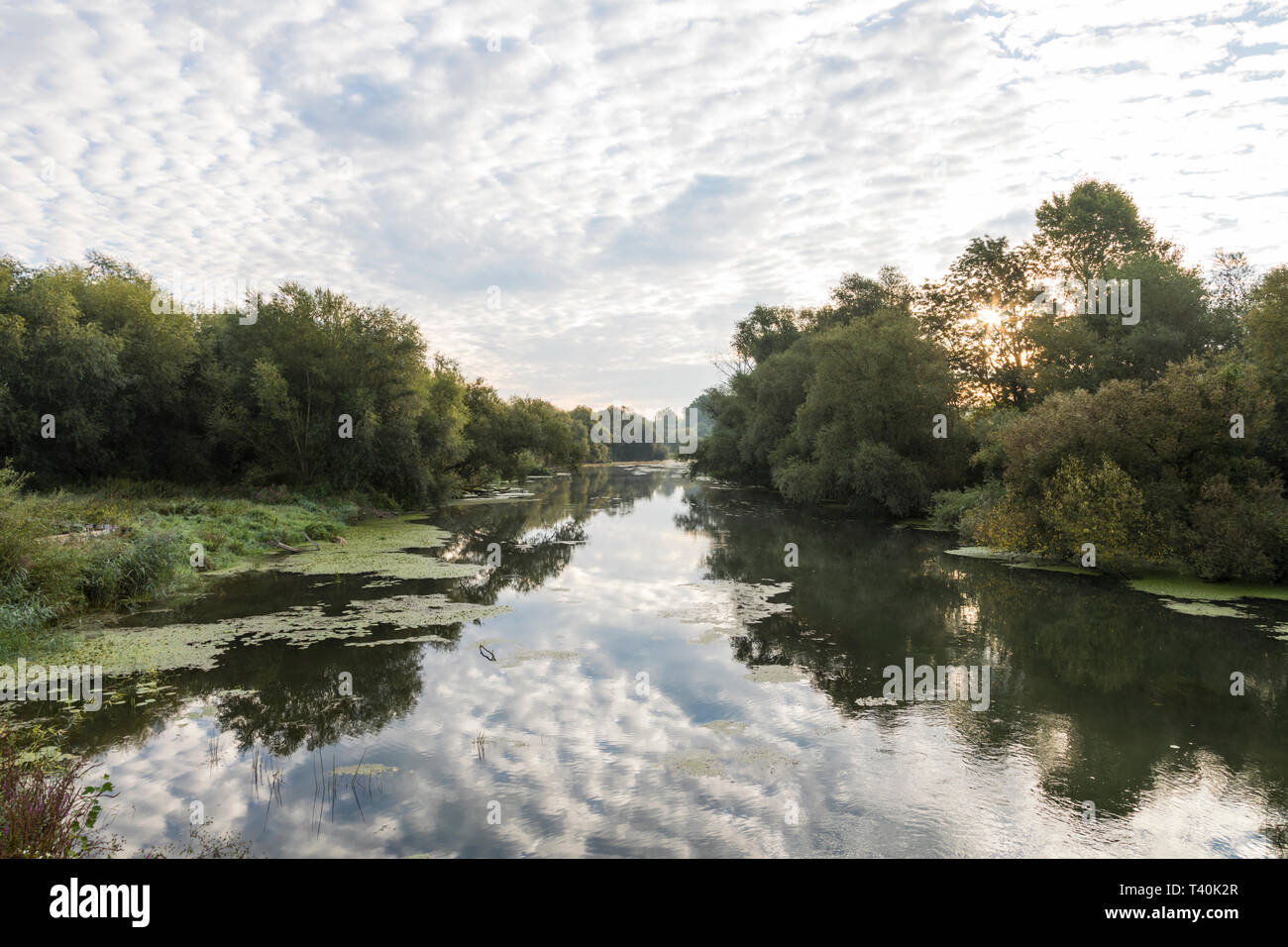Pools restoration hi-res stock photography and images - Alamy