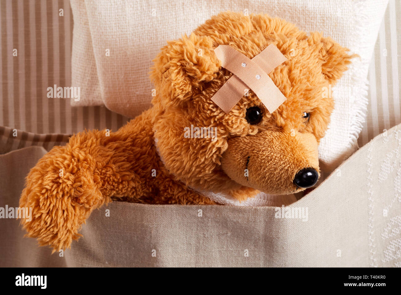 Cute little teddy bear with head trauma wearing a plaster on his ...