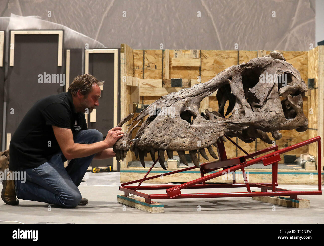 Remmert Schouten conservator from the Naturalis Biodiversity Center ...