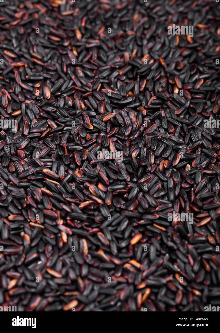 Black venus rice hi-res stock photography and images - Alamy