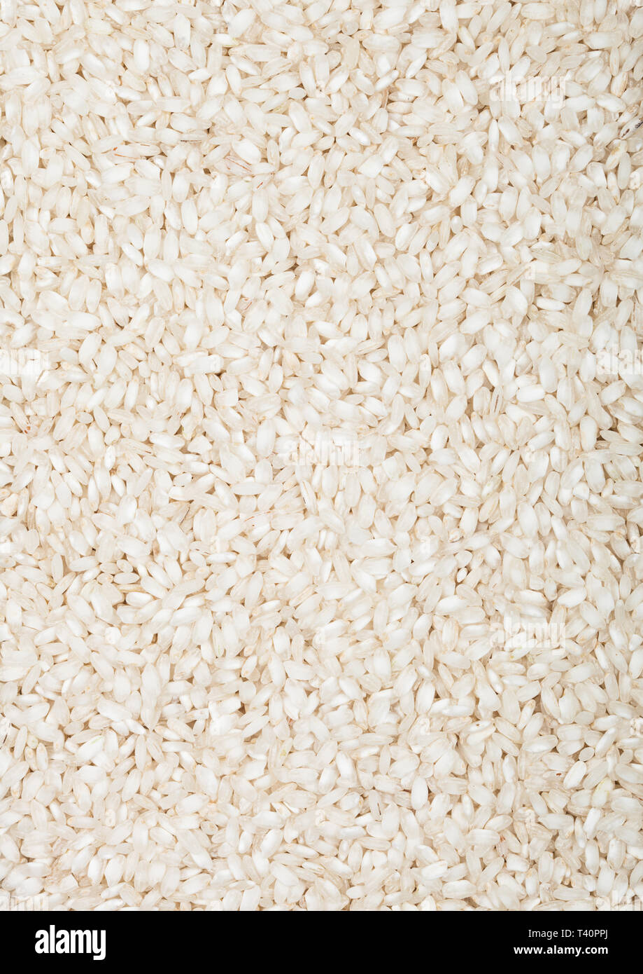 Fresh raw organic arborio risotto rice Healthy food Stock Photo - Alamy