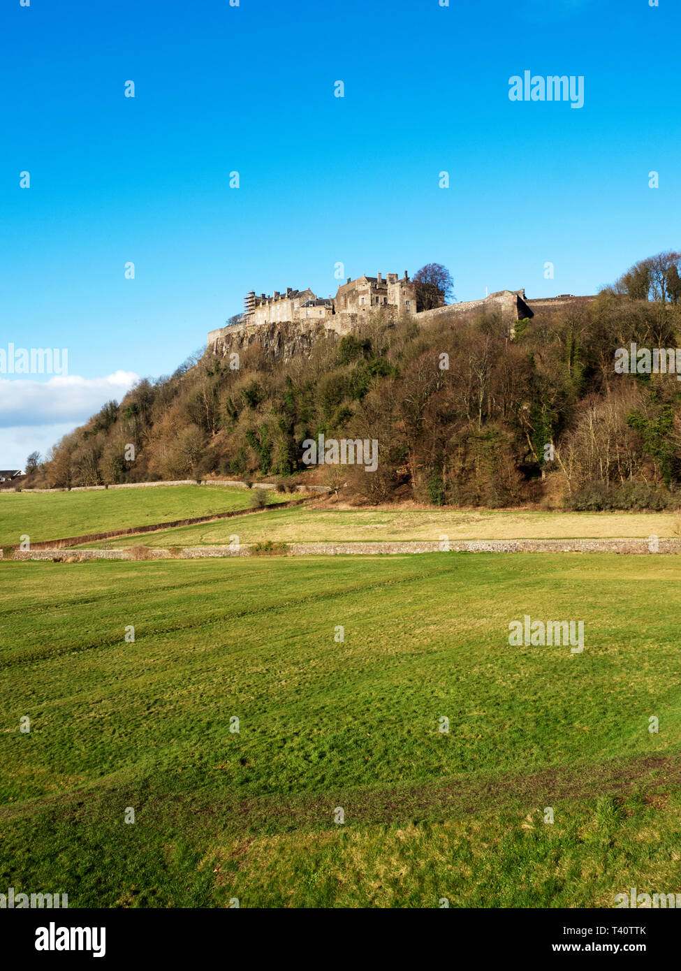 Stirling Castle in early spring from the Royal Gardens City of Stirling ...