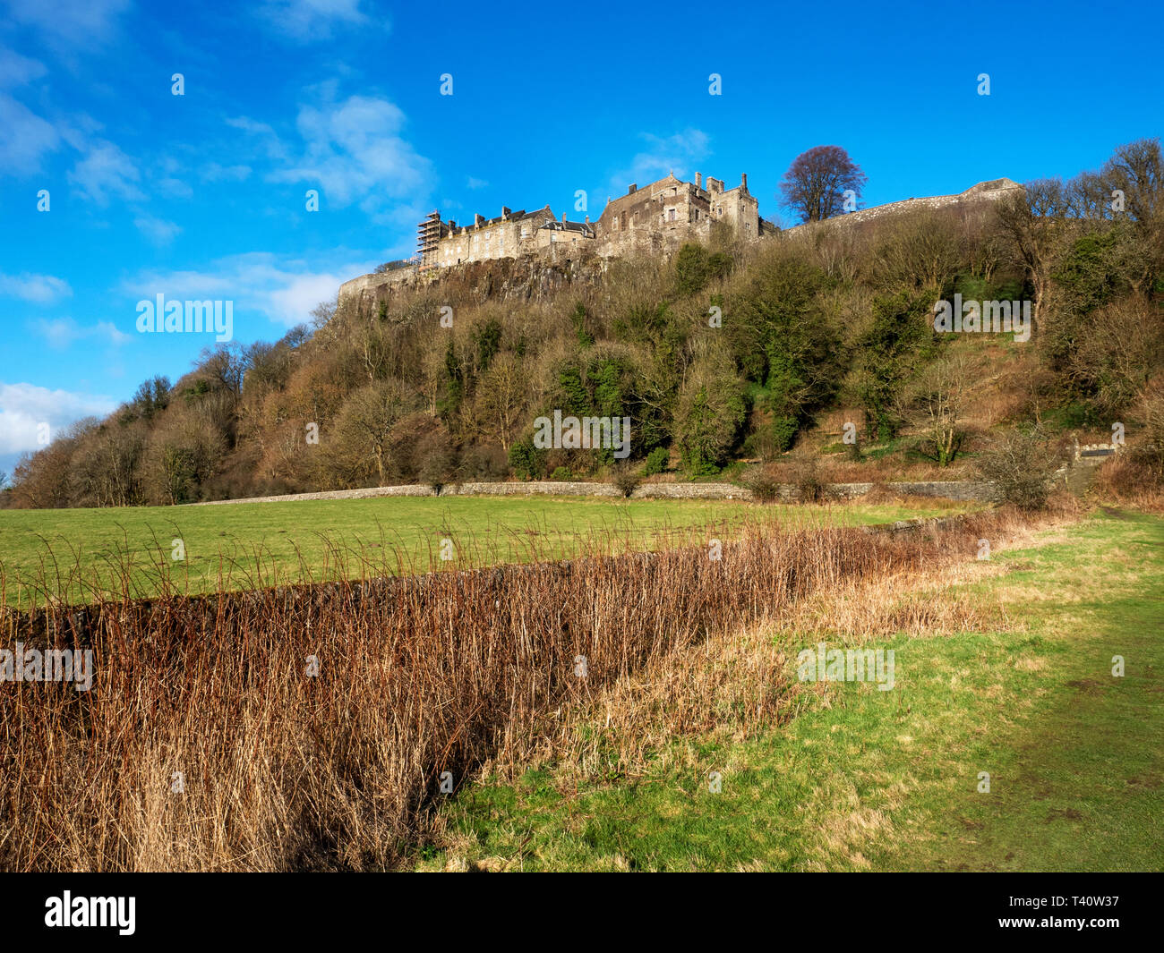 Stirling castle royal palace hi-res stock photography and images - Alamy