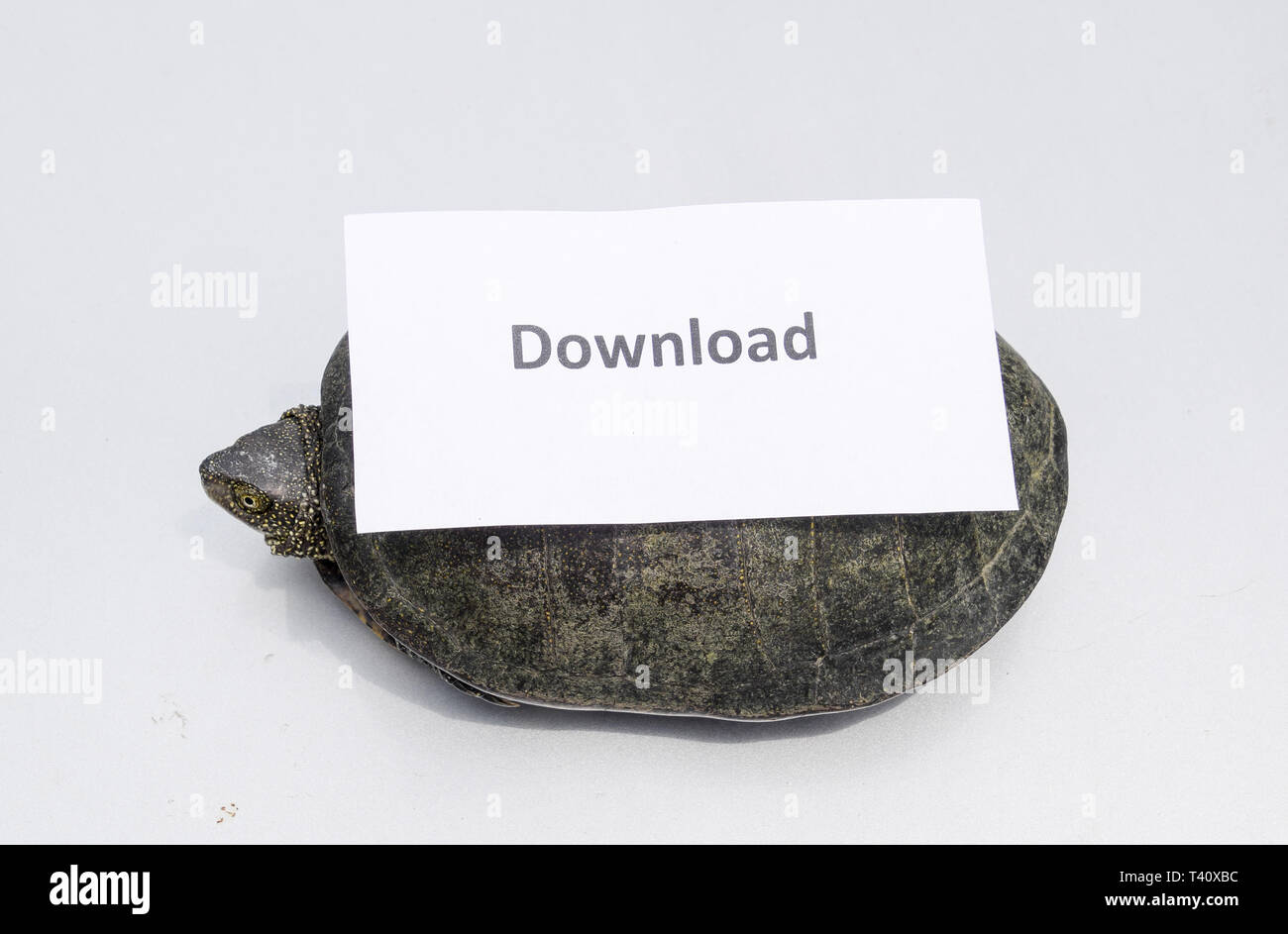 Download. A bad internet symbol. Low download speed. Slow internet ...