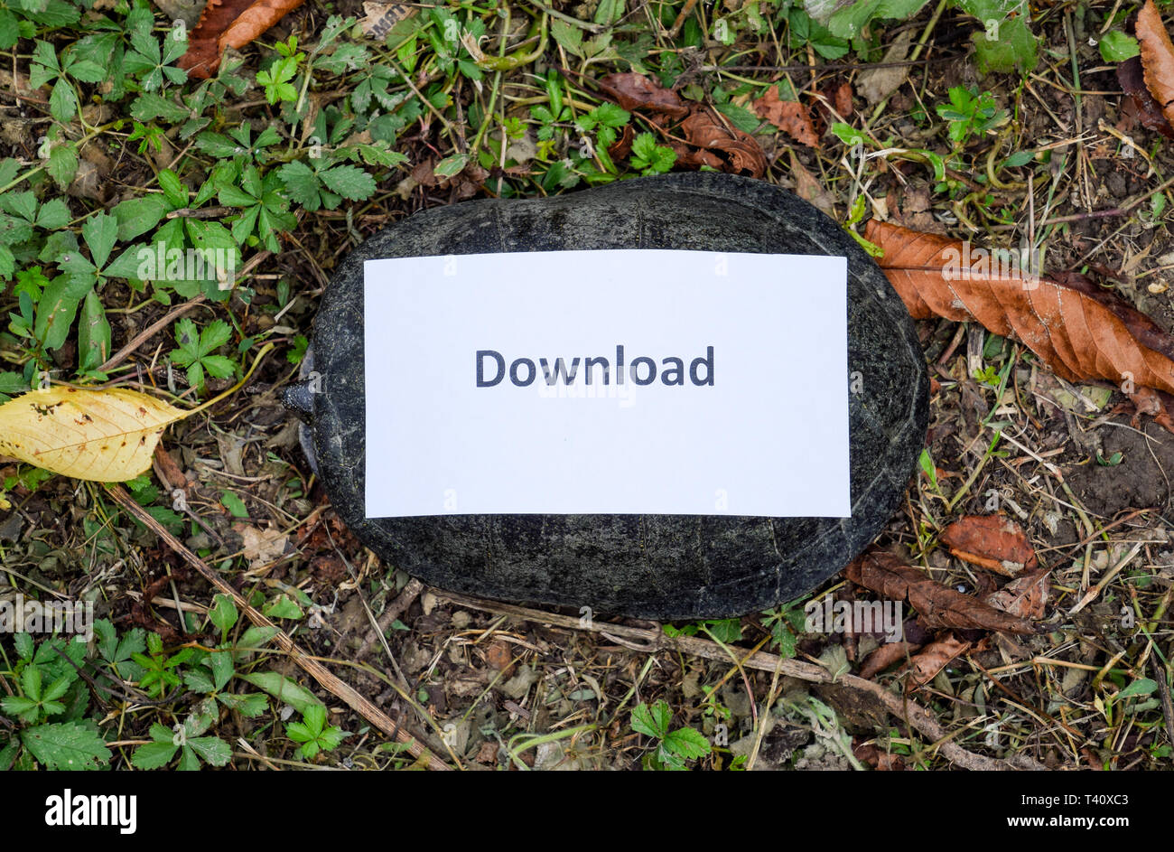 Download. A bad internet symbol. Low download speed. Slow internet ...