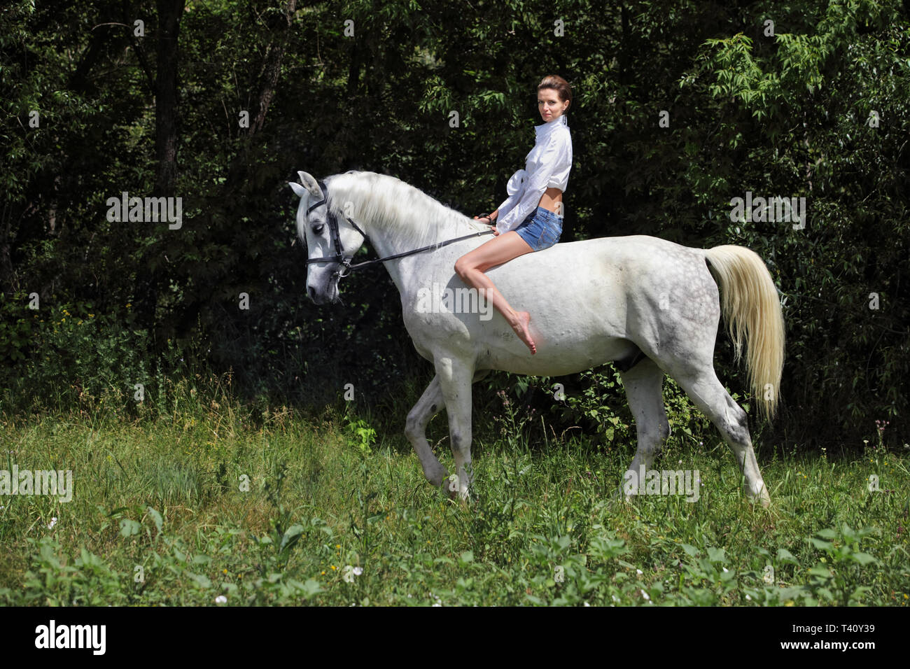 Beautiful model cowgirl bareback ride her horse in woods glade at ...