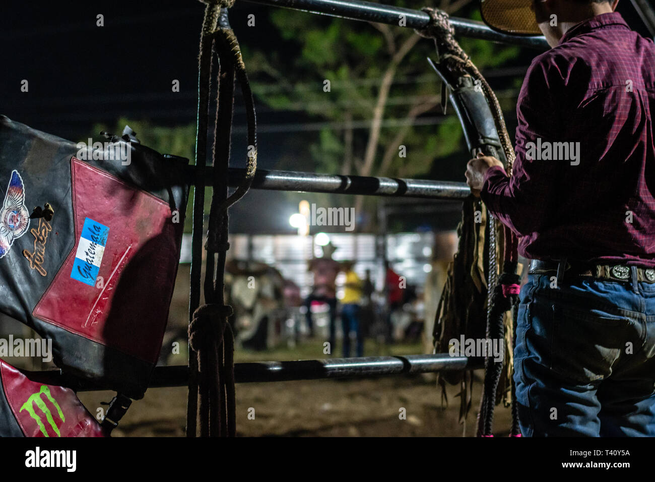 latin bull rider getting ready before ride in Guatemalan rodeo Stock ...