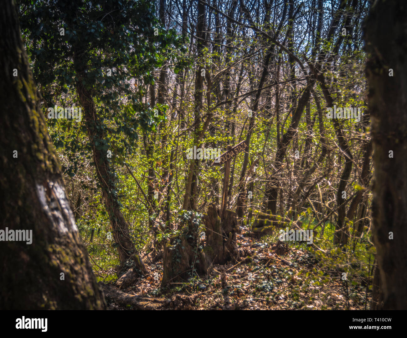 Background scenery hi-res stock photography and images - Alamy