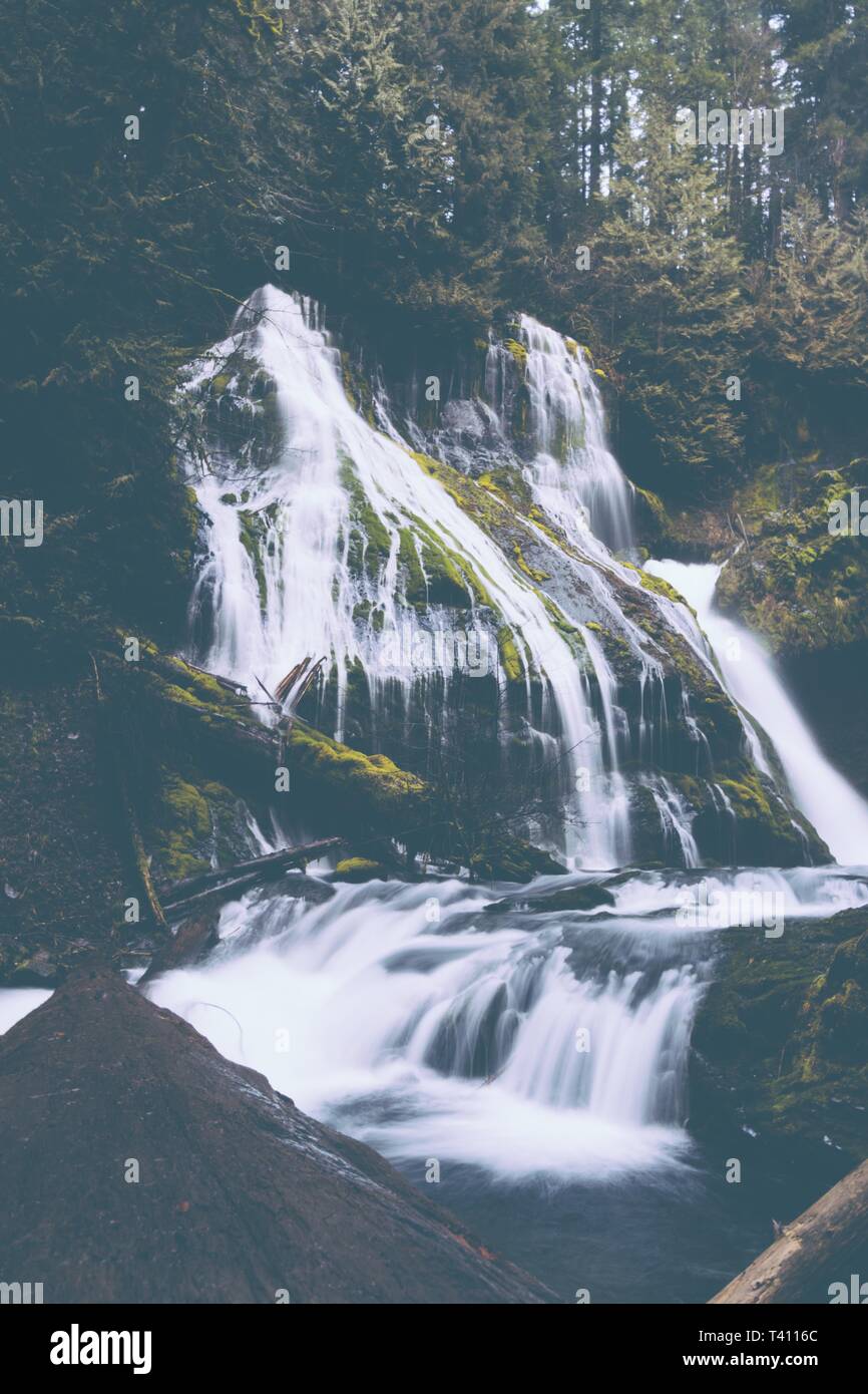 Decorative intro hi-res stock photography and images - Alamy