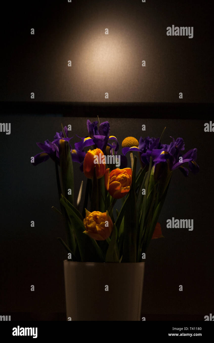 Midnight flower bouquet with blue irises and warm yellow tulips in ...