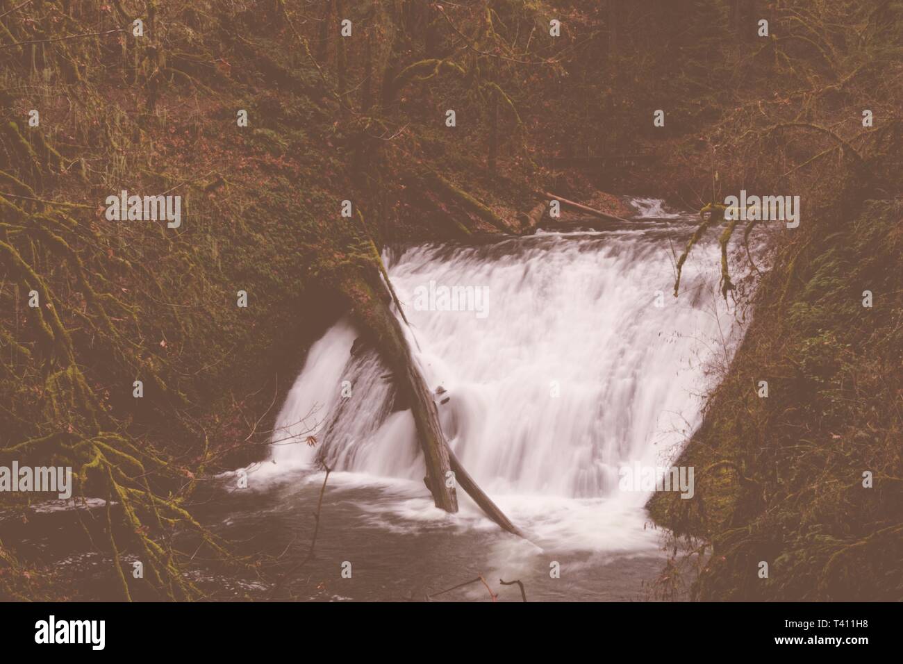 A little water stream in a wilderness Stock Photo - Alamy