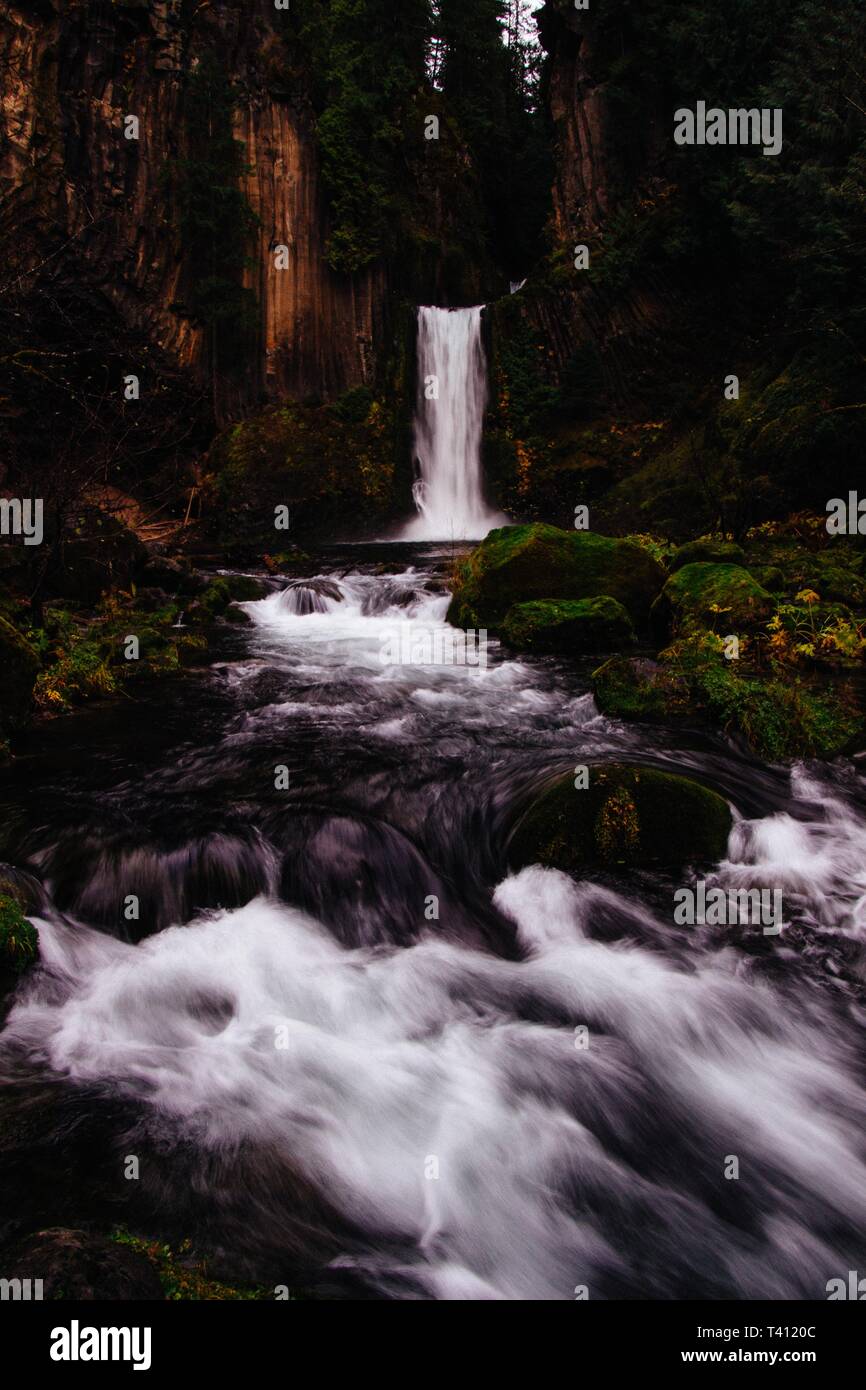 A dark shot of a waterfall in a vibrant green forest Stock Photo - Alamy