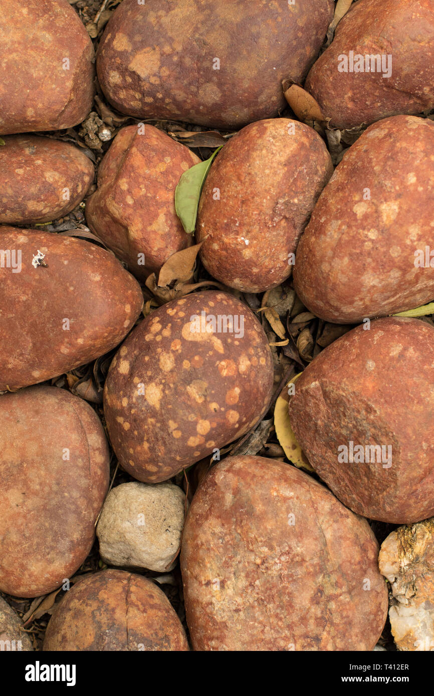 Balls testicles hi-res stock photography and images - Alamy