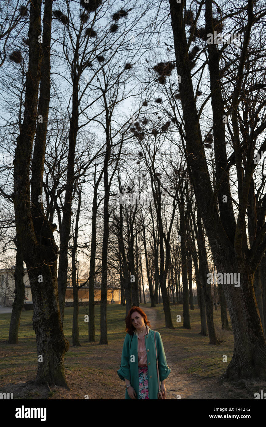 Young female ornithologist observing rooks nesting high up in trees in ...