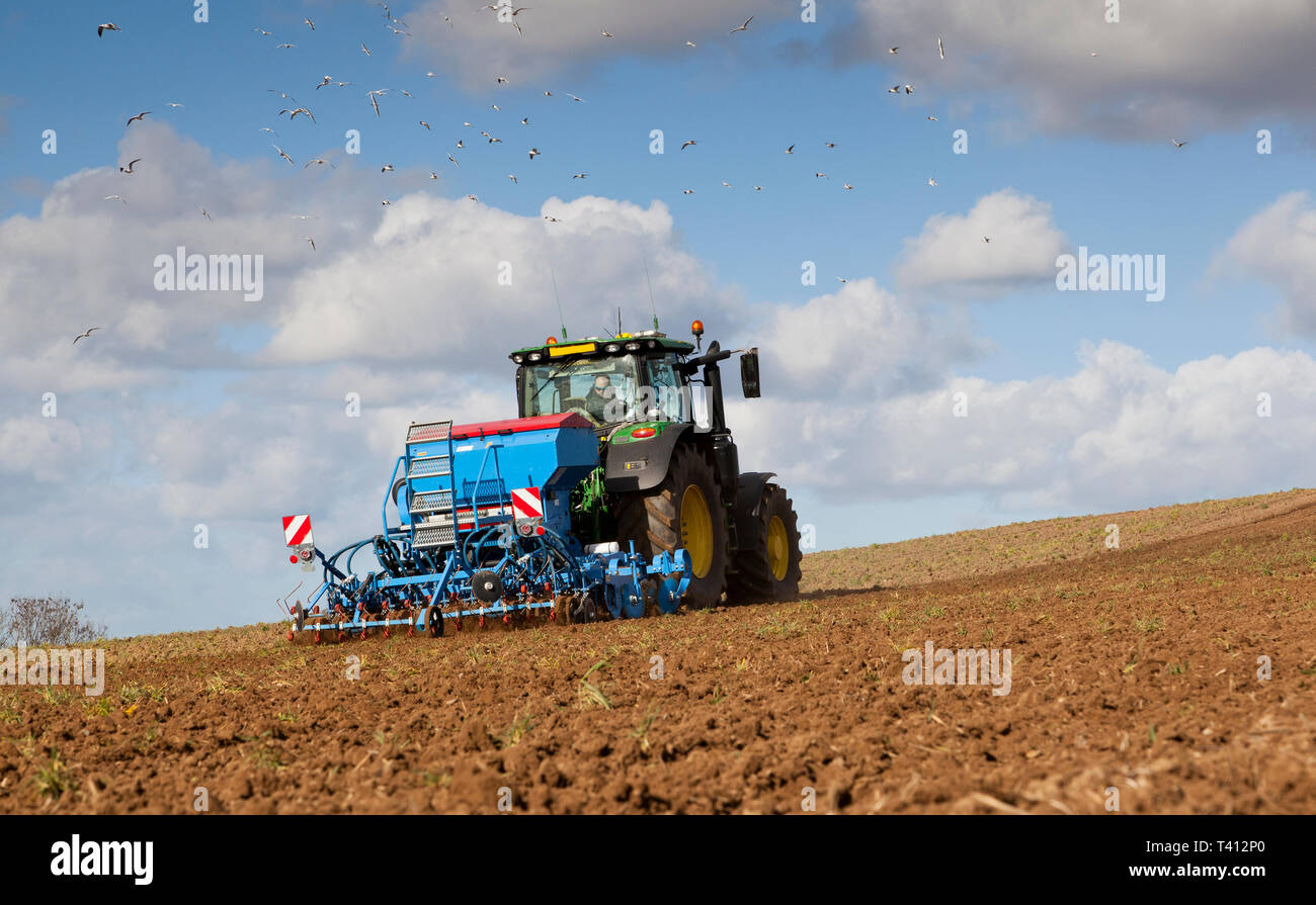 Seed drill hi-res stock photography and images - Alamy