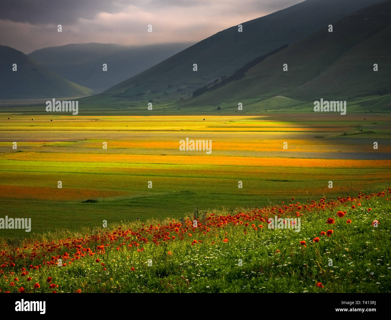 Ital camera hi-res stock photography and images - Alamy