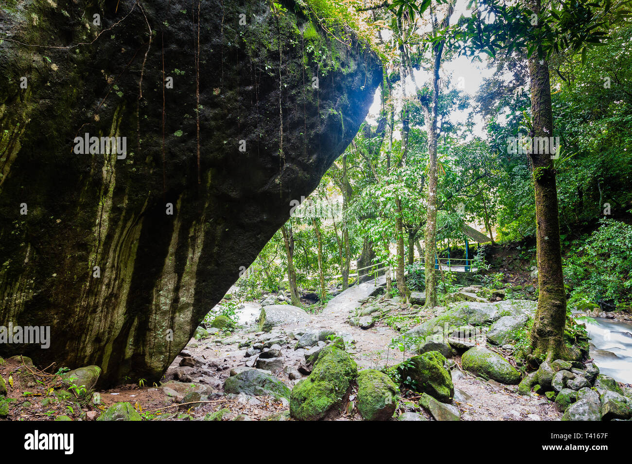 Rock carving / Petroglyph "La Piedra Pintada" in El Valle de Anton ...