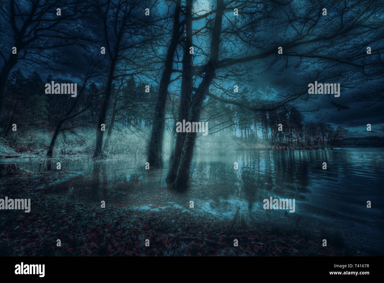 Brucher's dam in Marienheide by night. Fantasy Composing Stock Photo ...