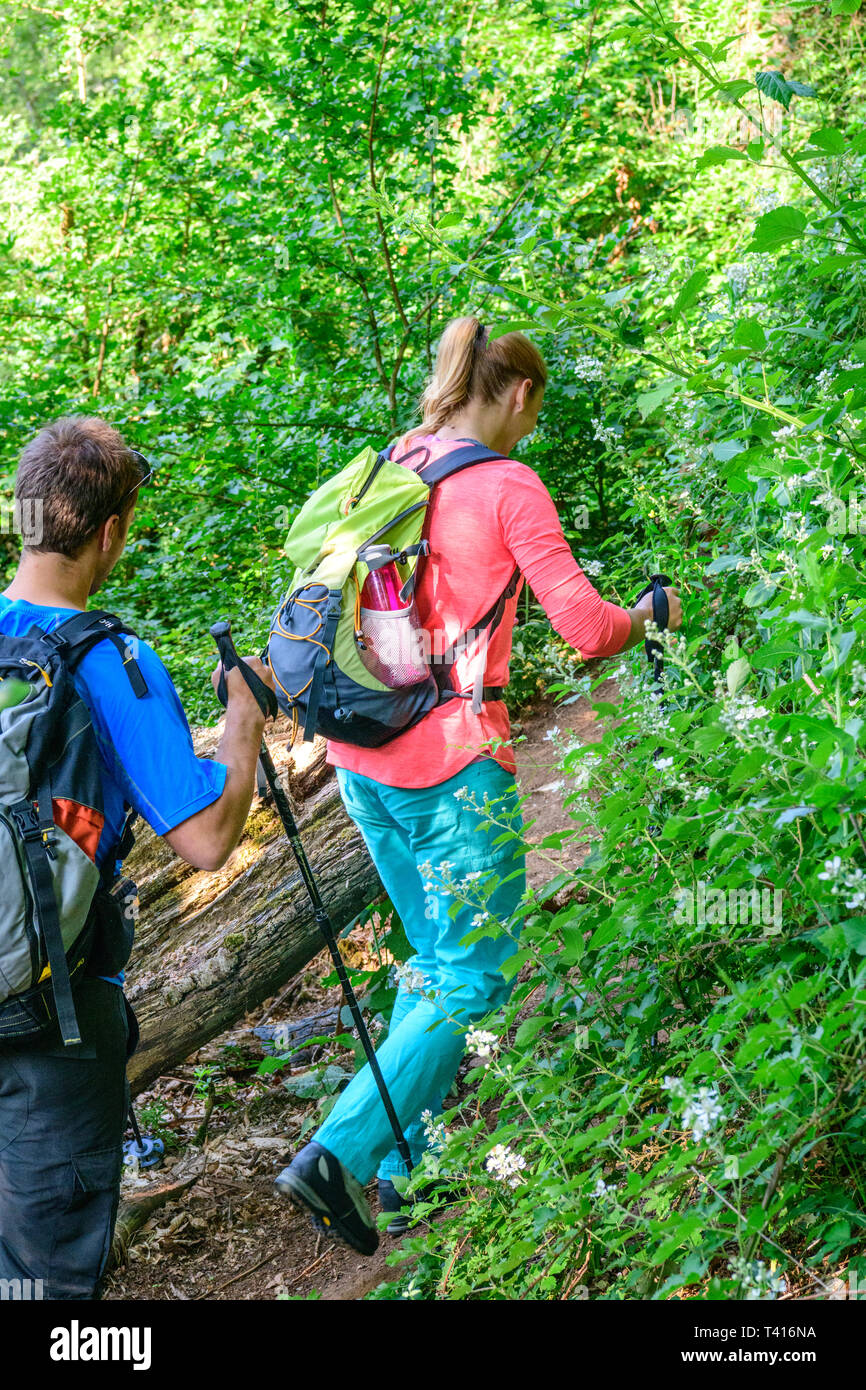 Adventure hike in the nature park Stock Photo - Alamy
