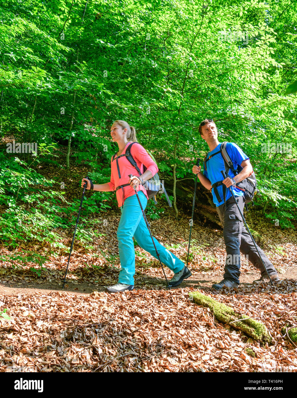 Adventure hike in the nature park Stock Photo - Alamy